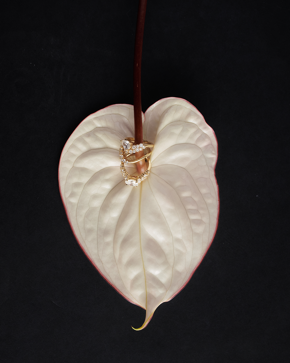 Valentine's Day Diamond Jewellery | Fine Gold & Diamond Gifts | Class A ...